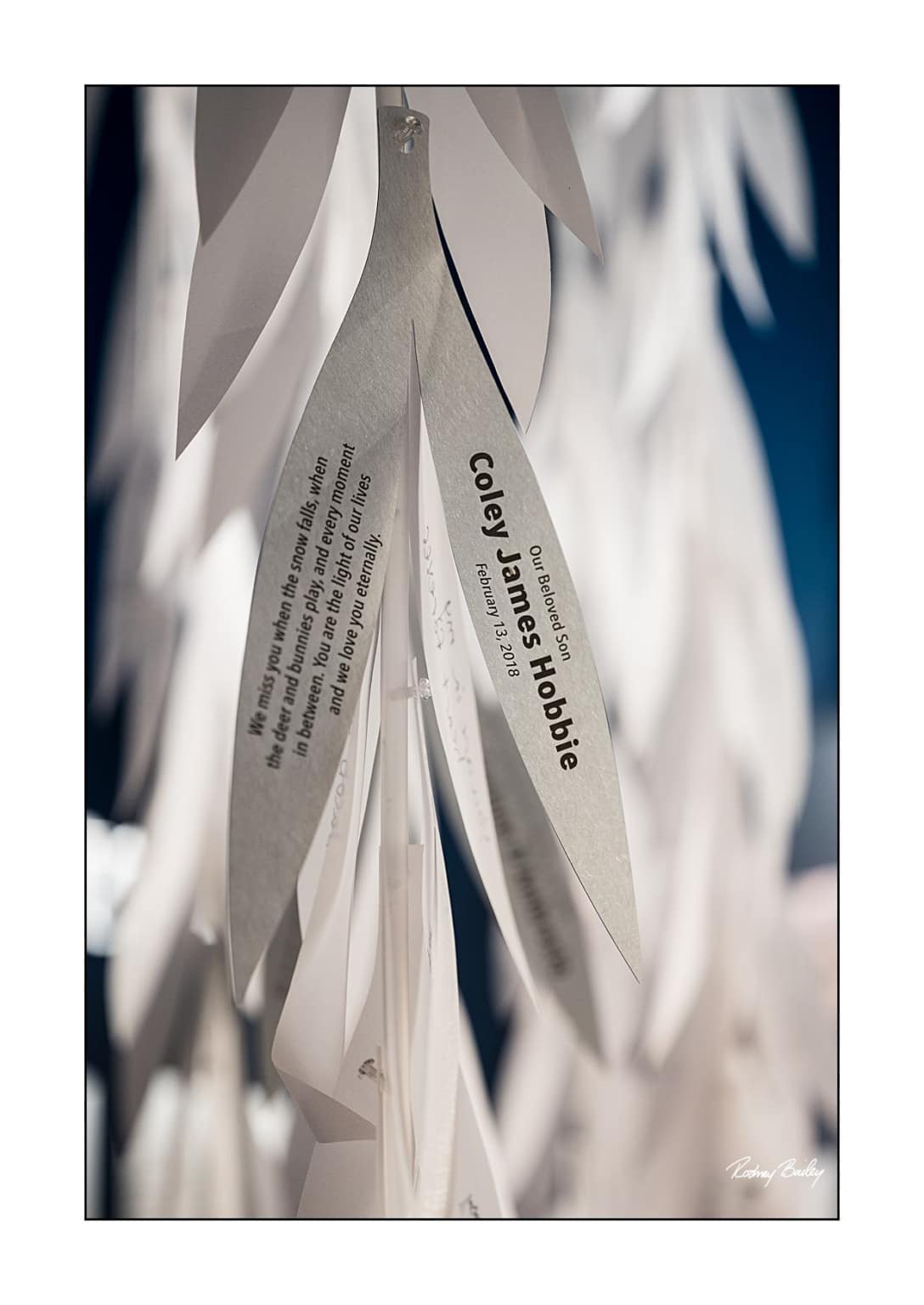 Reflections on Grief and Child Loss - President Lincoln's Cottage | A ...