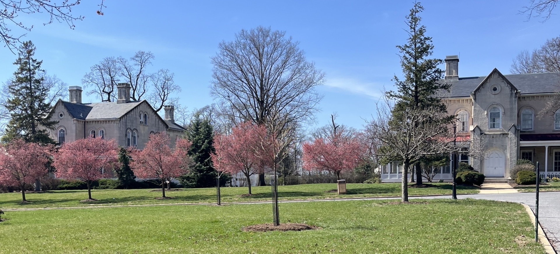 Cherry Blossoms on Campus - President Lincoln's Cottage | A Home for ...