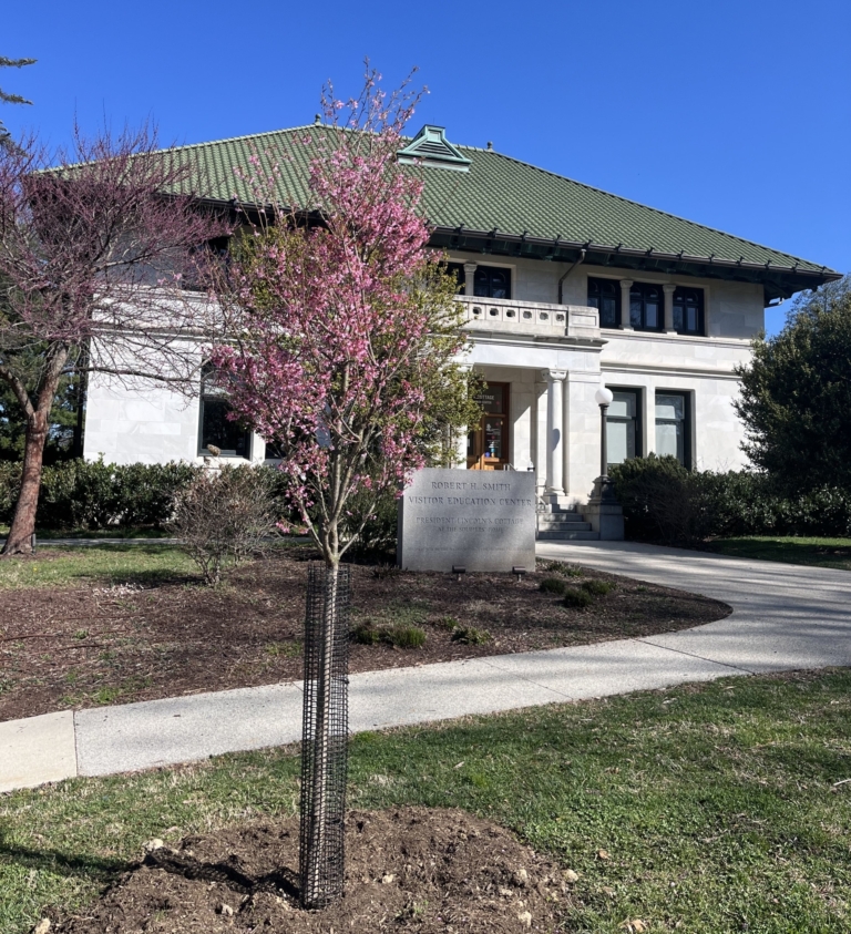 Cherry Blossoms on Campus - President Lincoln's Cottage | A Home for ...