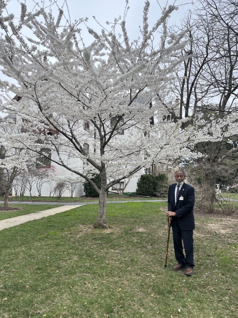 Cherry Blossoms on Campus - President Lincoln's Cottage | A Home for ...
